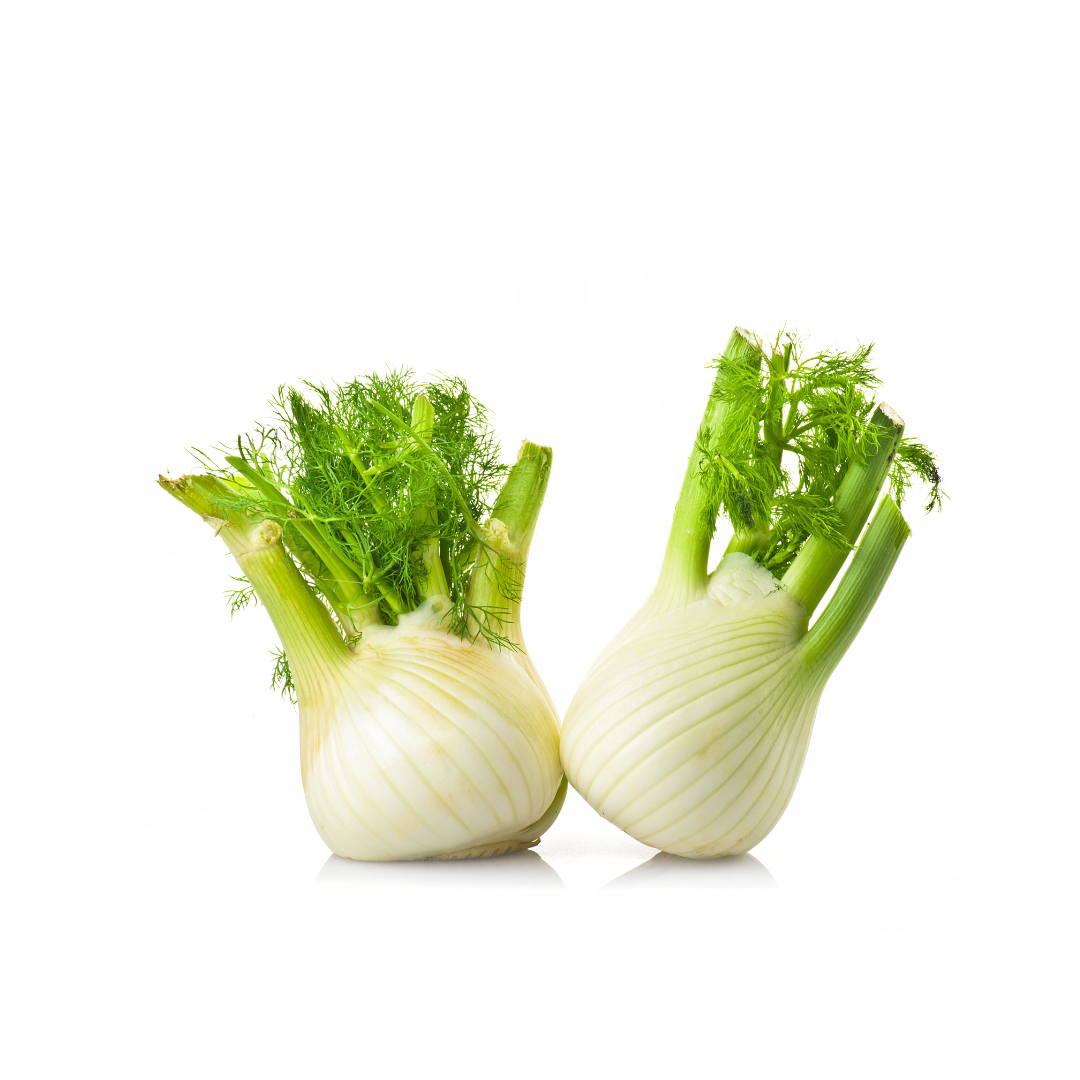 Fennel - Large – Bendigo Fresh